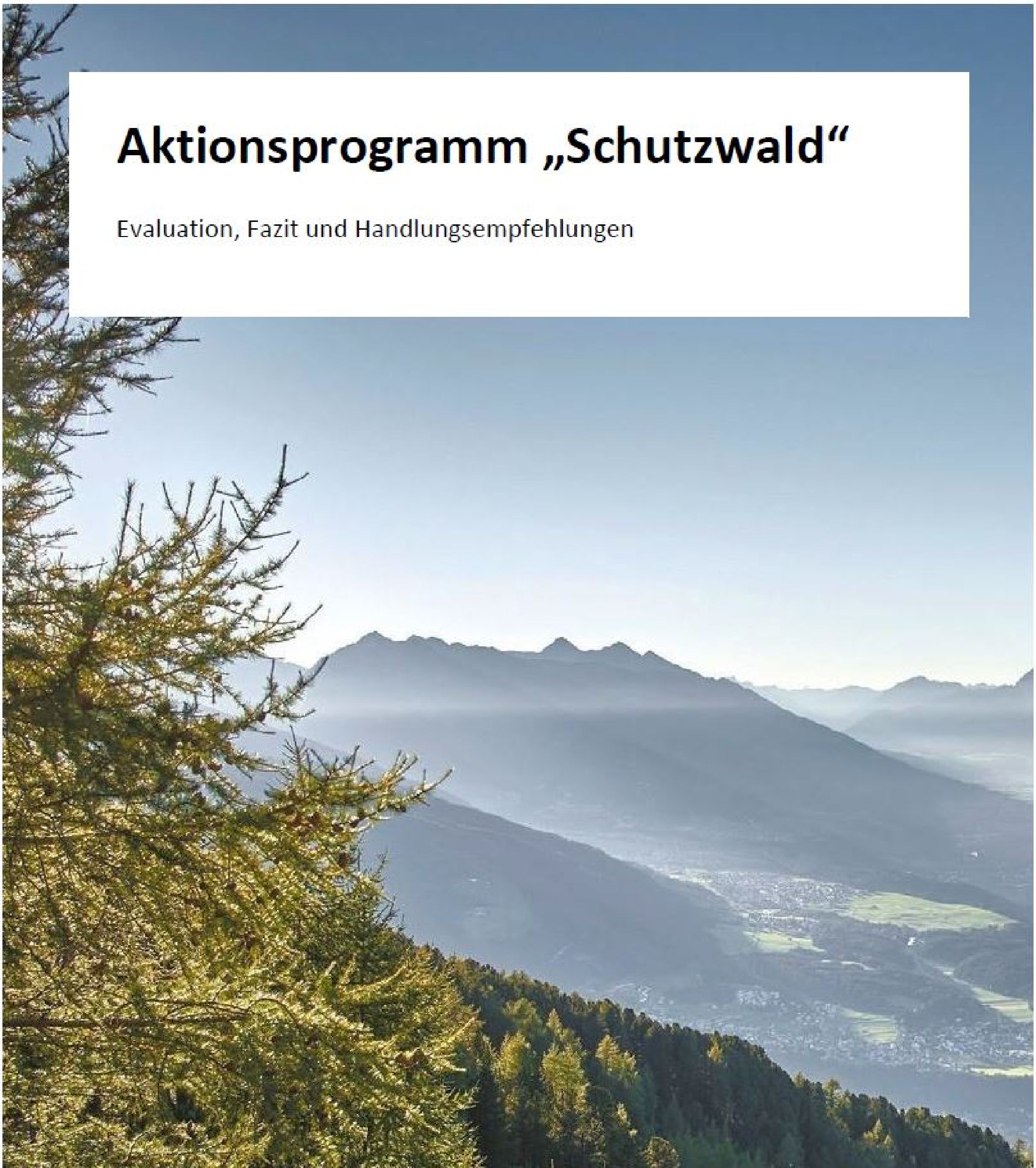 Aktionsprogramm Schutzwald: Wald schützt uns! - Evaluation, Fazit und Handlungsempfehlungen ...